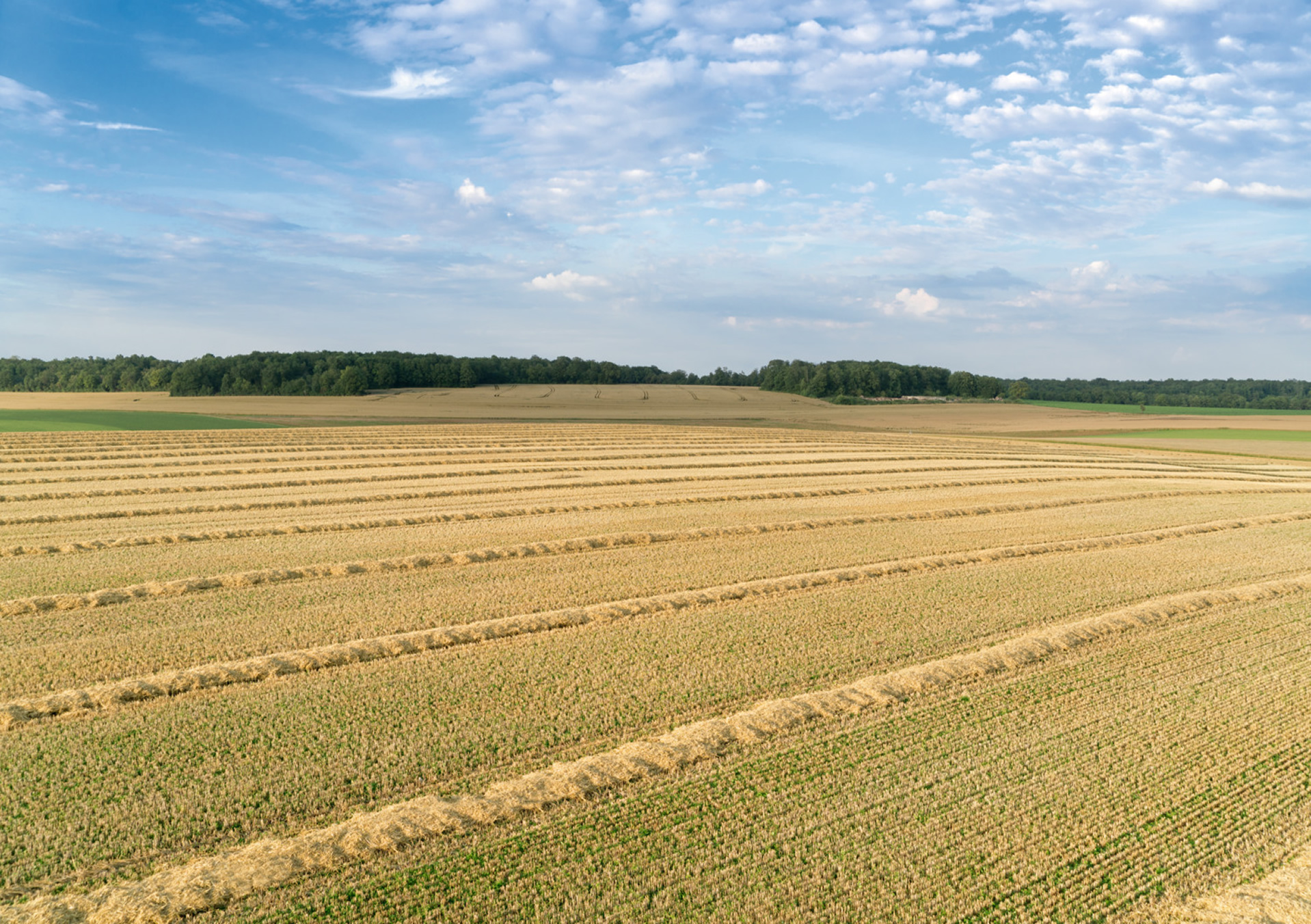 Notre catalogue de MATÉRIEL AGRICOLE d’OCCASION - Ballanger